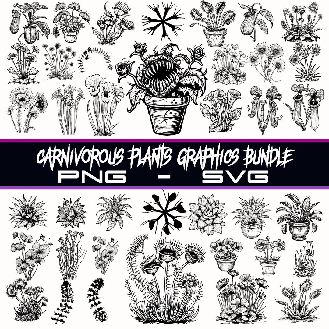Carnivorous Plants Graphics Bundle, PNG and SVG Files, Instant Download ...