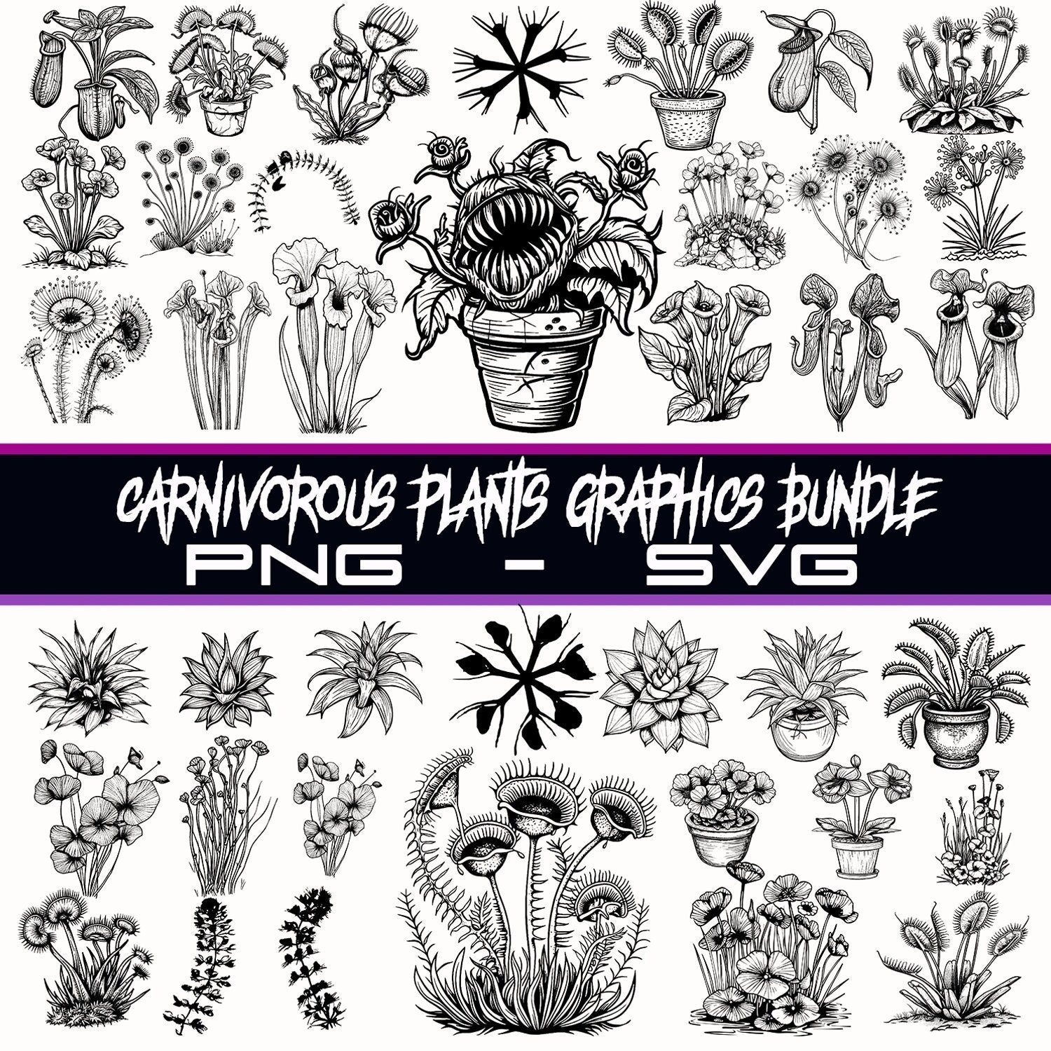Carnivorous Plants Graphics Bundle, PNG and SVG Files, Instant Download ...