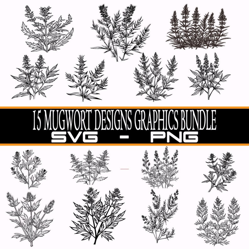 Mugwort Graphics SVG Bundle, Mugwort PNG Files, Flower Graphics ...