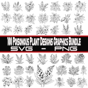Poisonous Plants Graphics Bundle, PNG and SVG Files, Instant Download ...