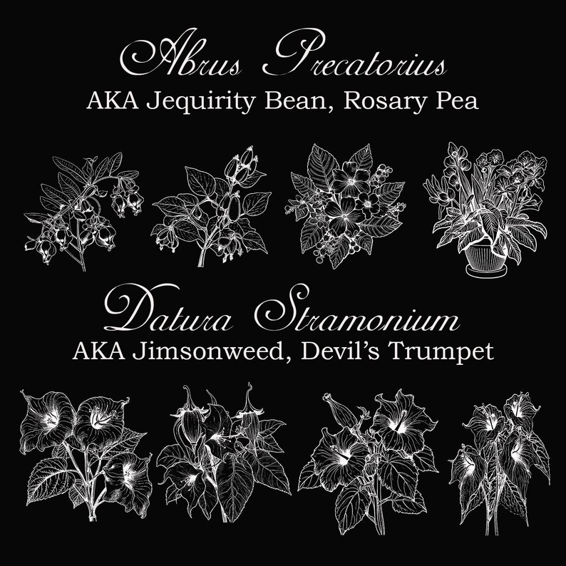 Poisonous Plants Graphics Bundle, PNG and SVG Files, Instant Download ...