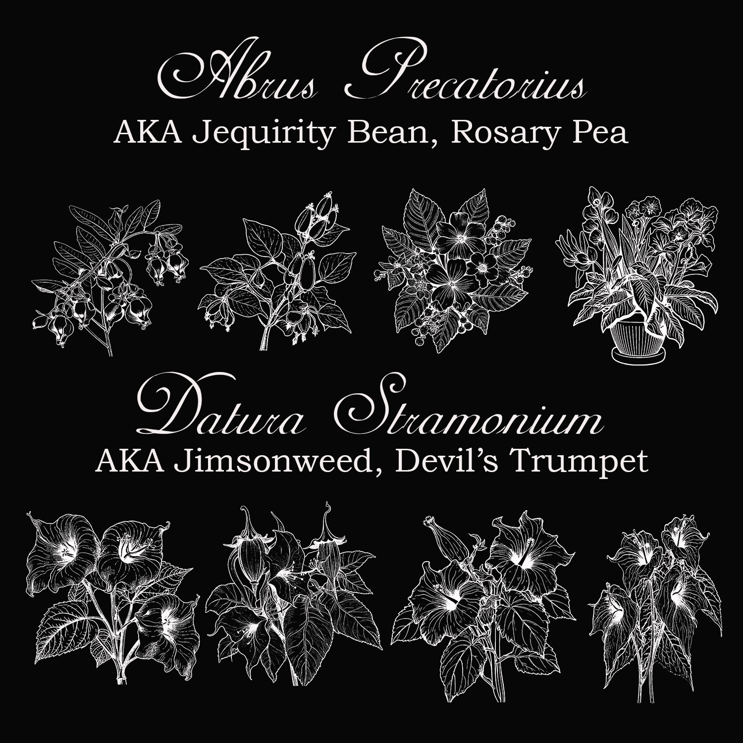 Poisonous Plants Graphics Bundle, PNG and SVG Files, Instant Download ...