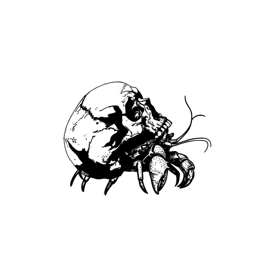 Creepy Crab Graphic, Hermit Crab PNG, Crabby Graphic, Instant Download ...