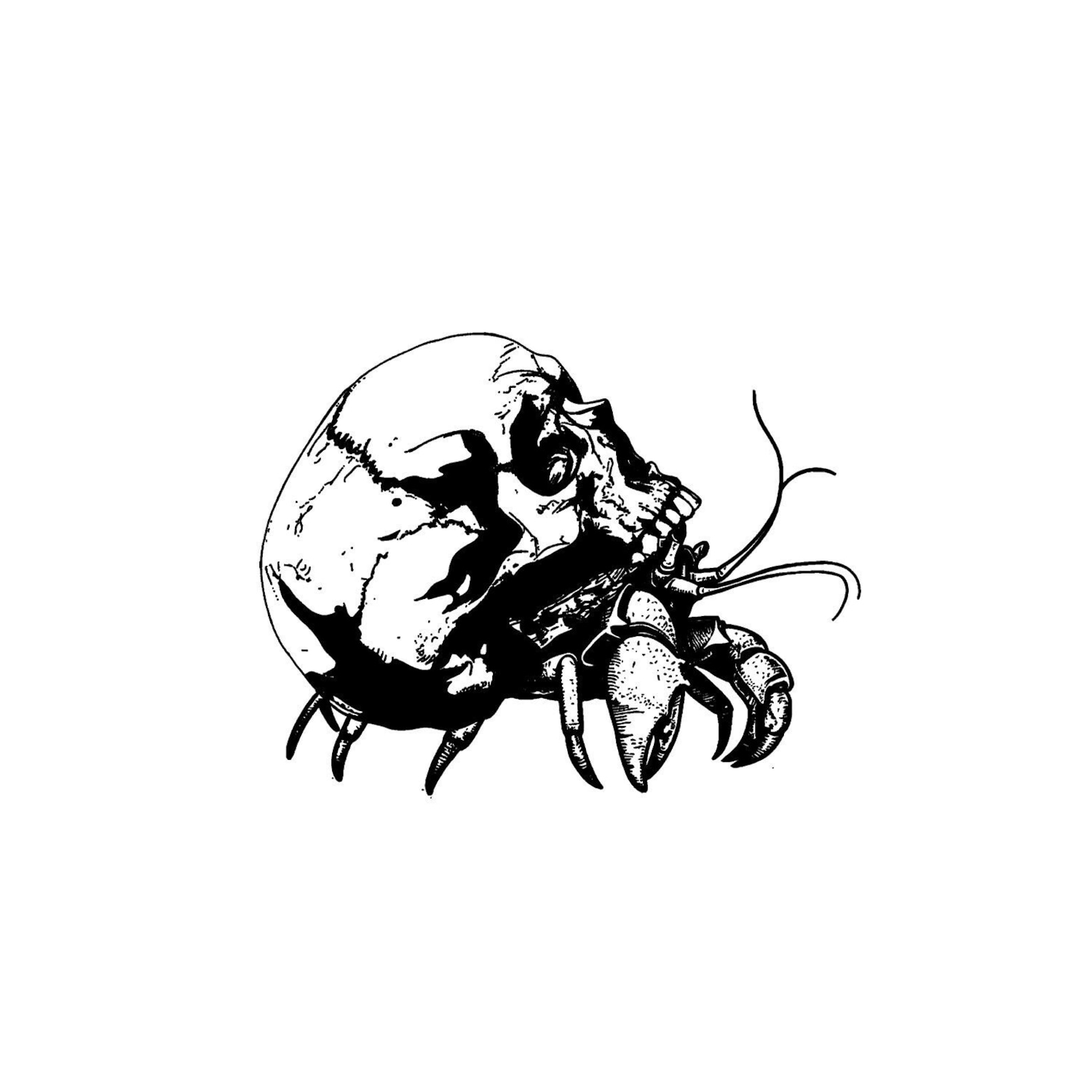 Creepy Crab Graphic, Hermit Crab PNG, Crabby Graphic, Instant Download ...