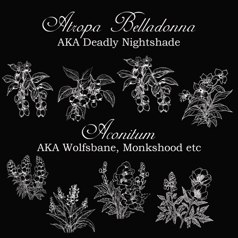 Poisonous Plants Graphics Bundle, PNG and SVG Files, Instant Download ...