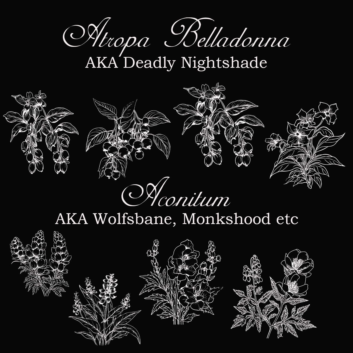 Poisonous Plants Graphics Bundle, PNG and SVG Files, Instant Download ...