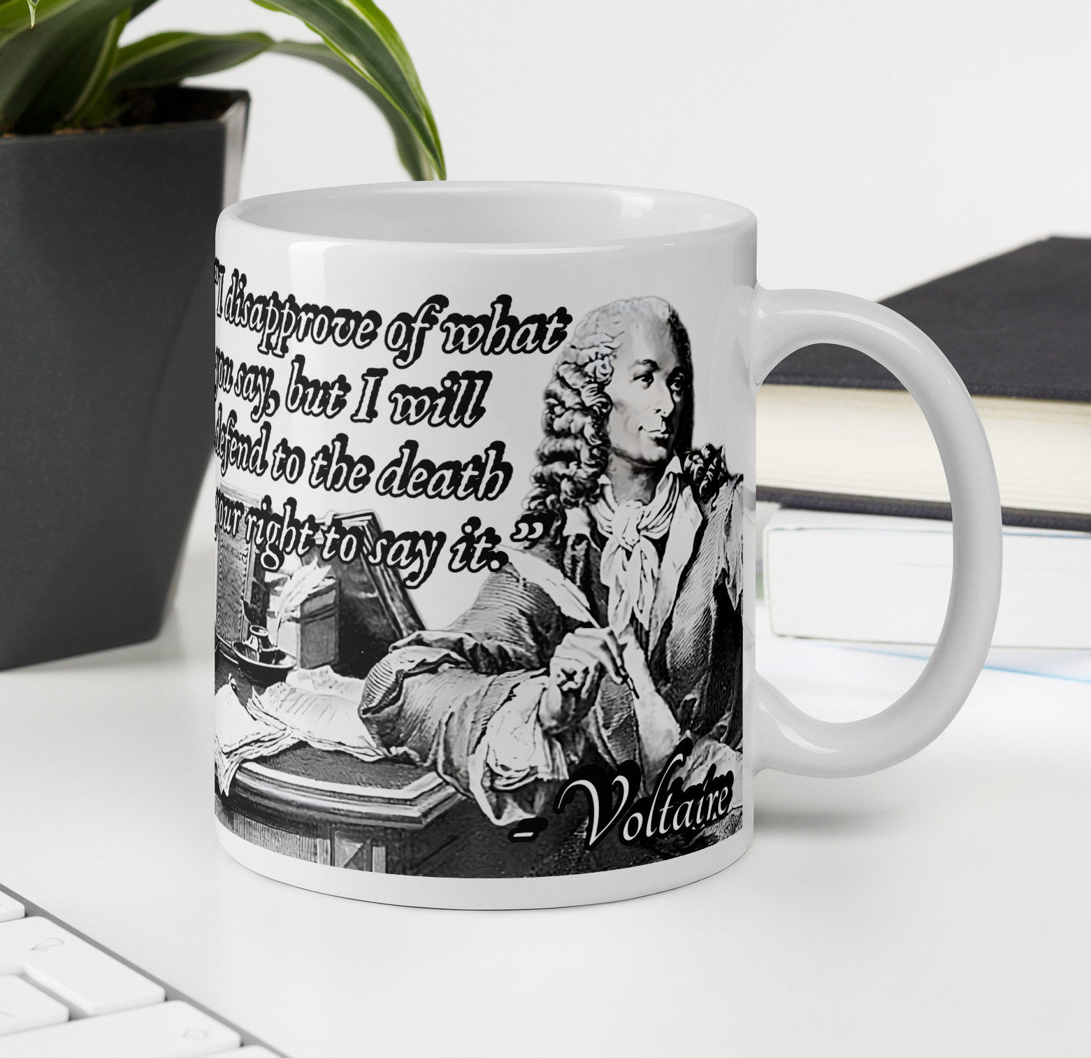 Voltaire i Disapprove of What You Say but I Will - Etsy