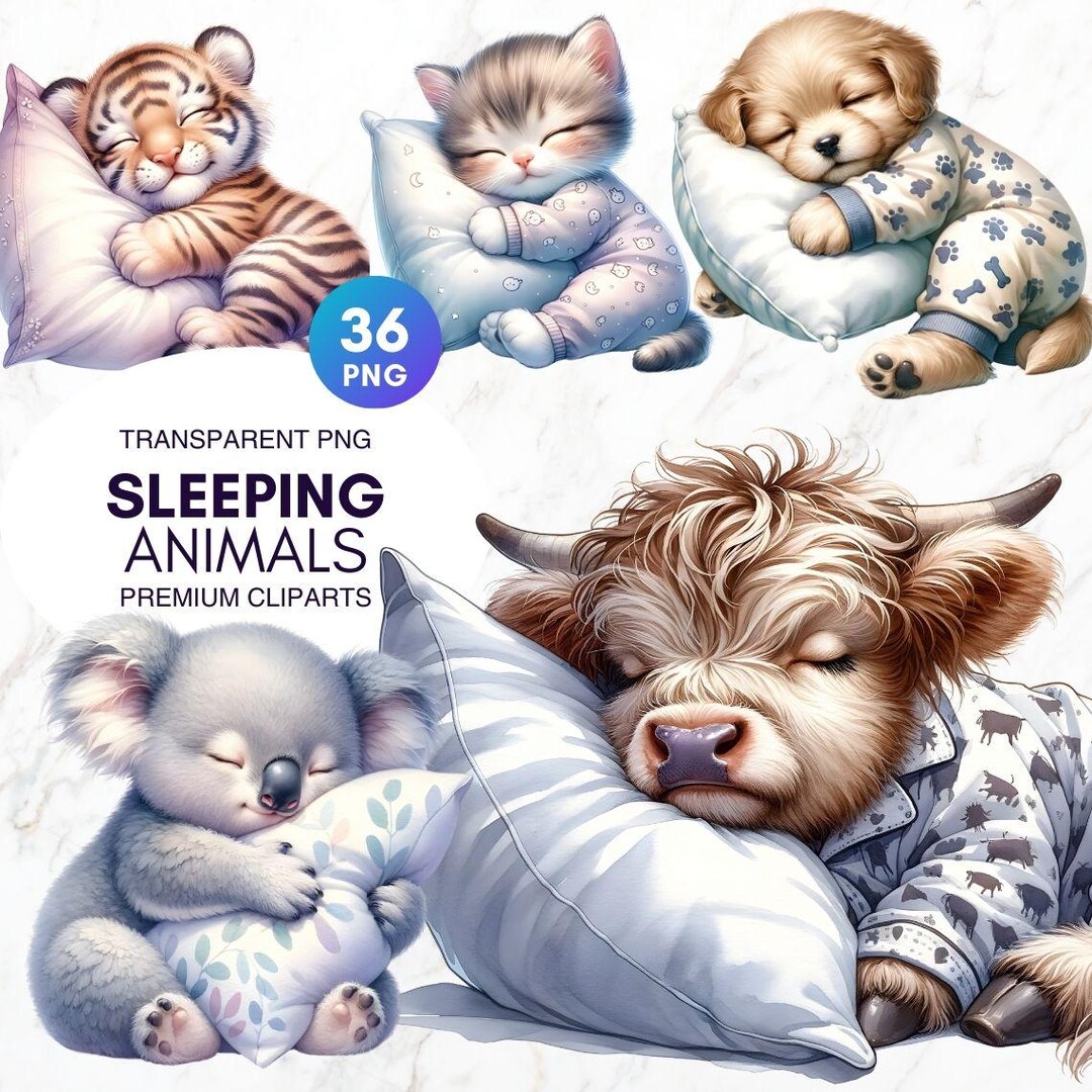 SLEEPING ANIMALS Watercolor Clipart, Cute Baby Animals PNG, Nursery ...