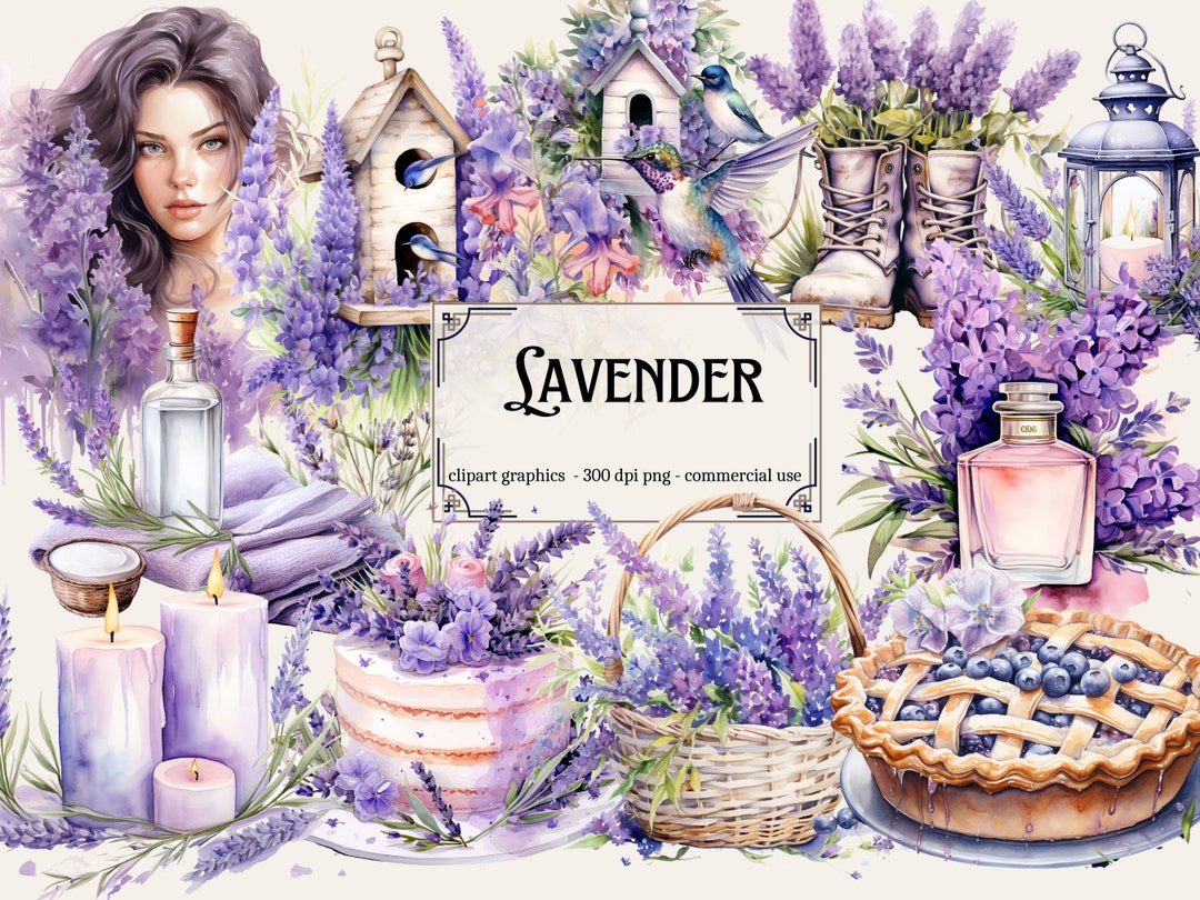 Lavenders Watercolor Clipart Bundle 115 PNG Images of Purple Summer ...