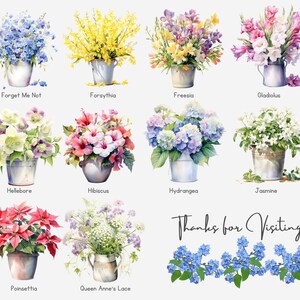 188 Watercolor Flower Clipart, Botanical Bundle, Wild Flowers ...