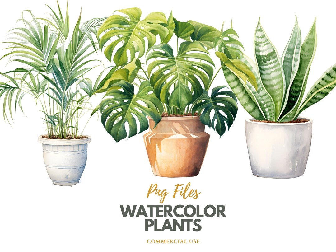 173 Watercolor Potted Plants Clipart House Plant, Indoor Plant, Plant ...