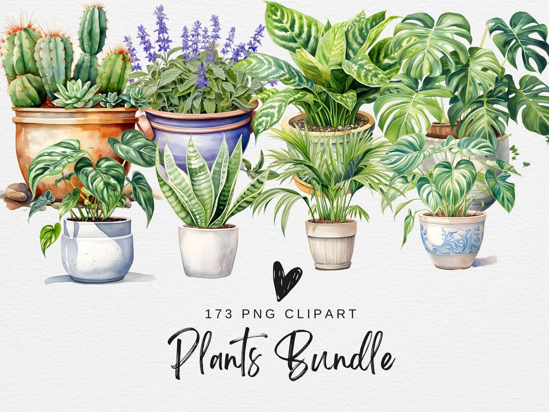 173 Watercolor Potted Plants Clipart - House Plant, Indoor Plant, Plant ...