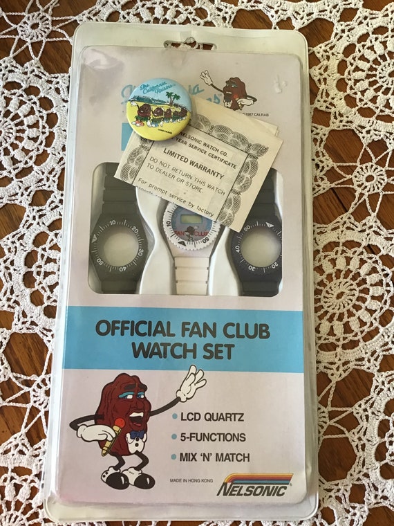 Vintage california raisins pin - Gem