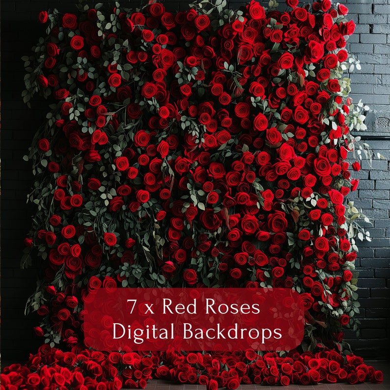 Red Roses, 7 X Digital Backdrop, Valentine's Background, Wedding ...
