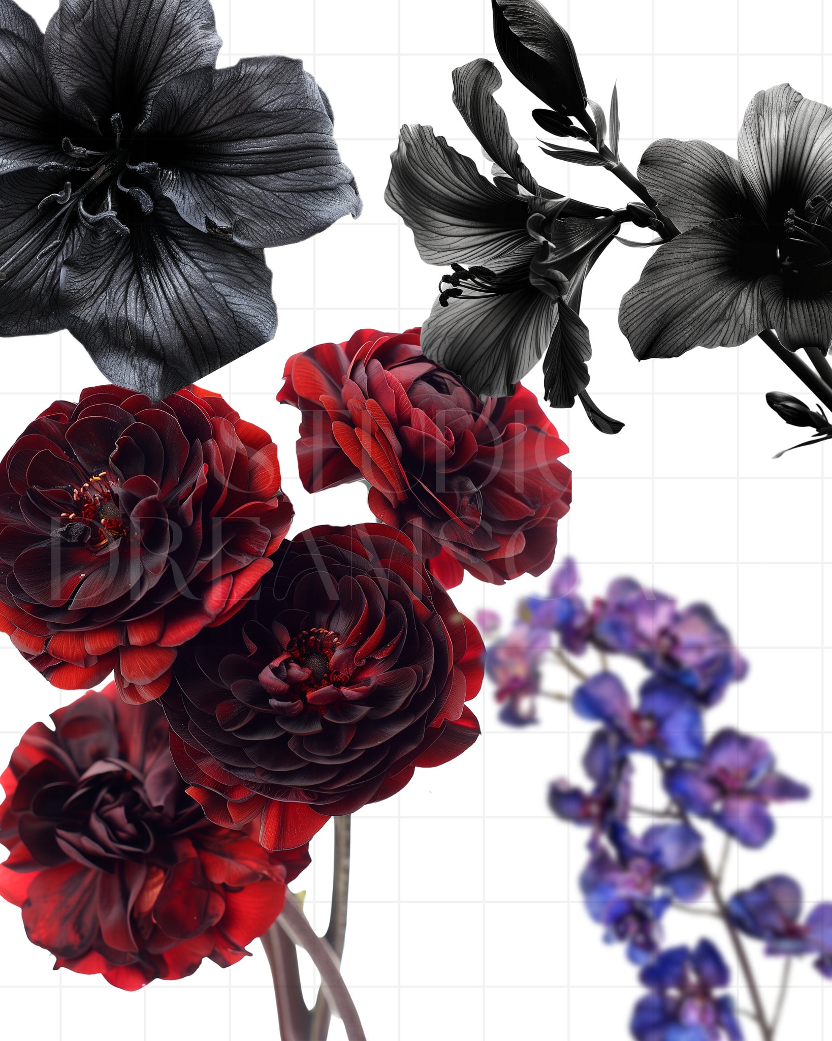 27 Dark Floral Photoshop Overlays, Romantic, Gothic Overlay, Moody ...