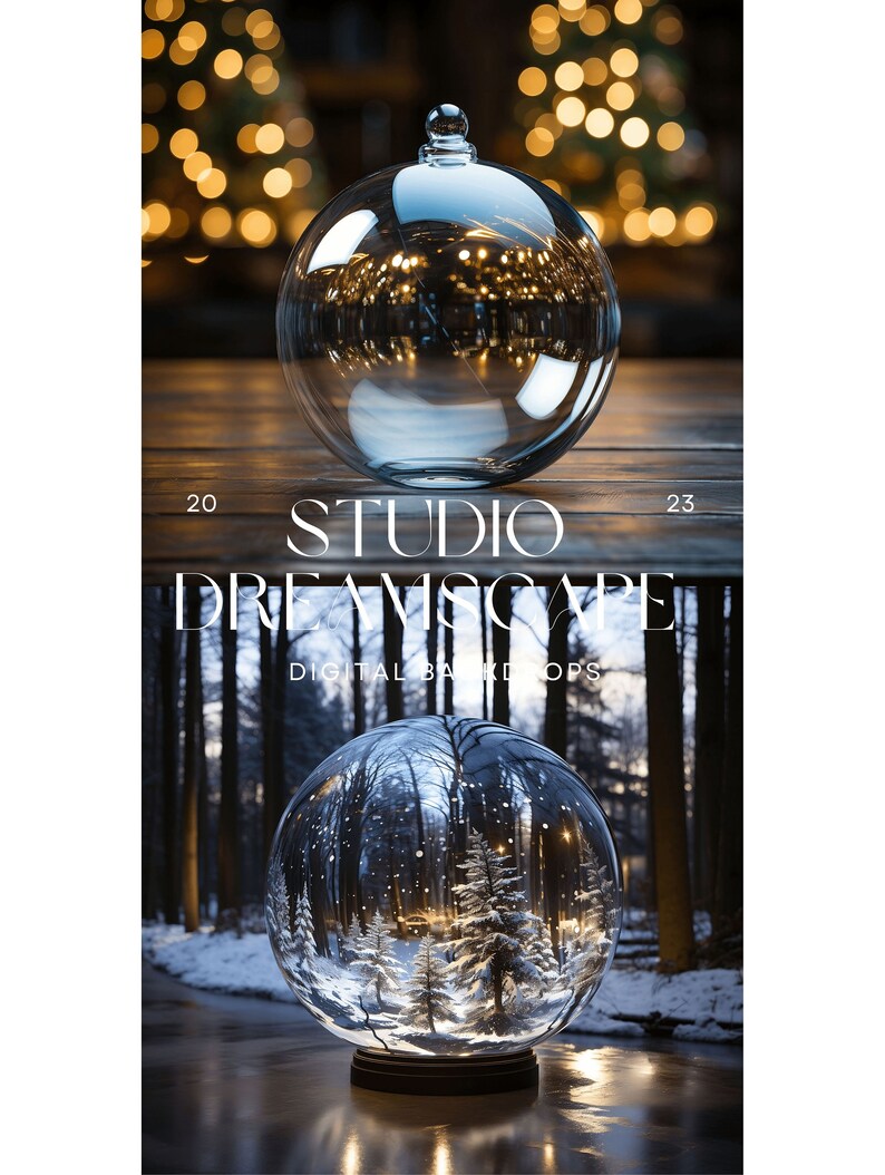 10 Christmas Snow-globe Digital Backdrops, Christmas Card, Christmas ...