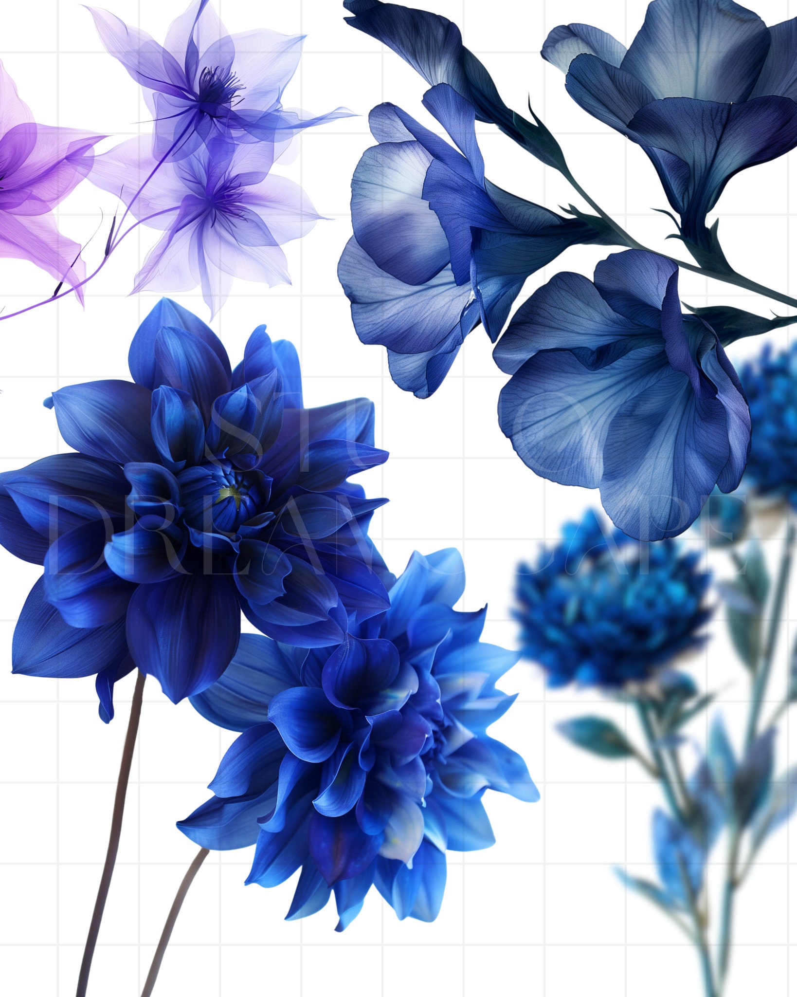 27 Dark Floral Photoshop Overlays, Romantic, Gothic Overlay, Moody ...
