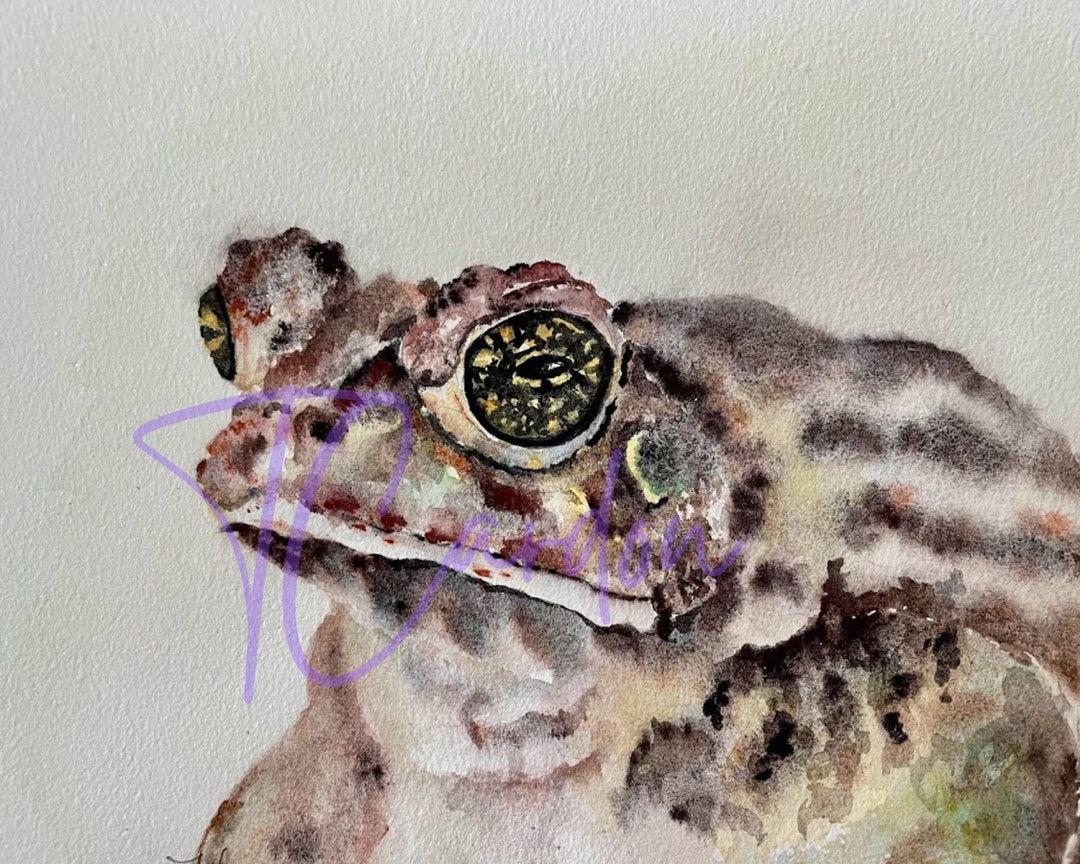 Majestic Toad Watercolor Print - Etsy