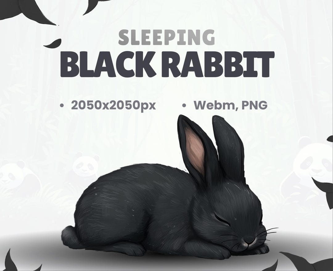 VTUBER PET Black Rabbit - Black - Animated Pet - Twitch Rabbit Stream ...