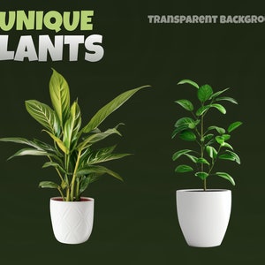 Nature Vtuber Stream Asset Pack – Green Chairs, Mics & Decorations - Etsy