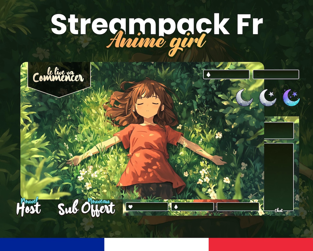 Anime Girl Stream Overlay Kit – Manga Scene, Alerts, Panels (FR) - Etsy