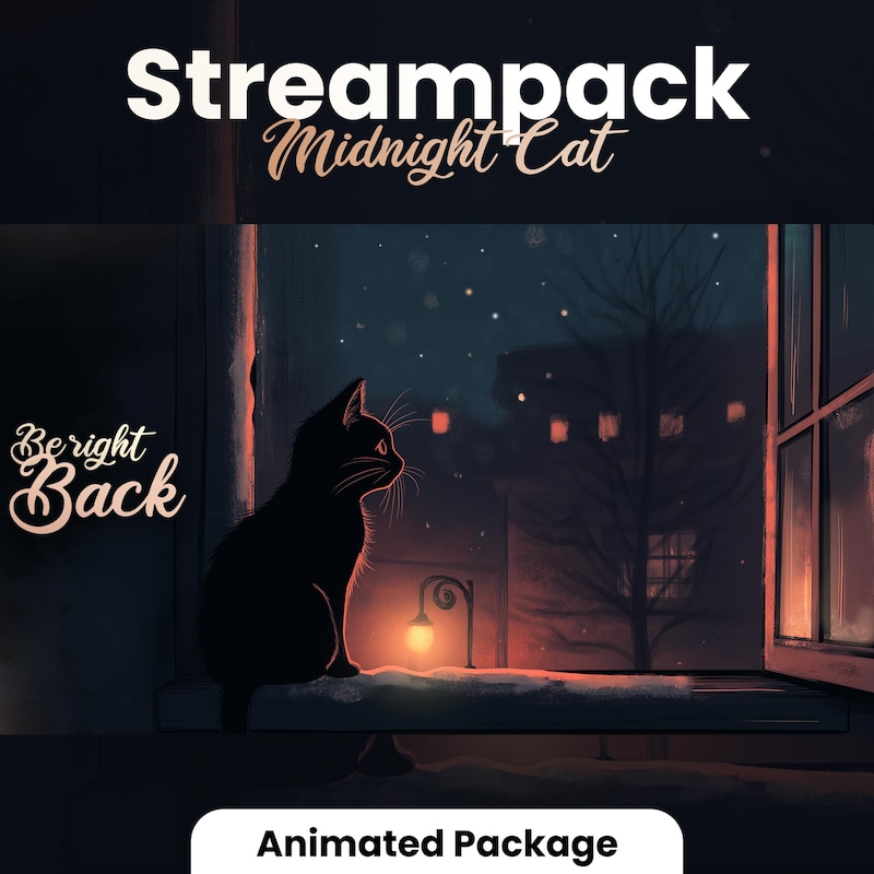 Twitch Cat Simple Overlay - Etsy