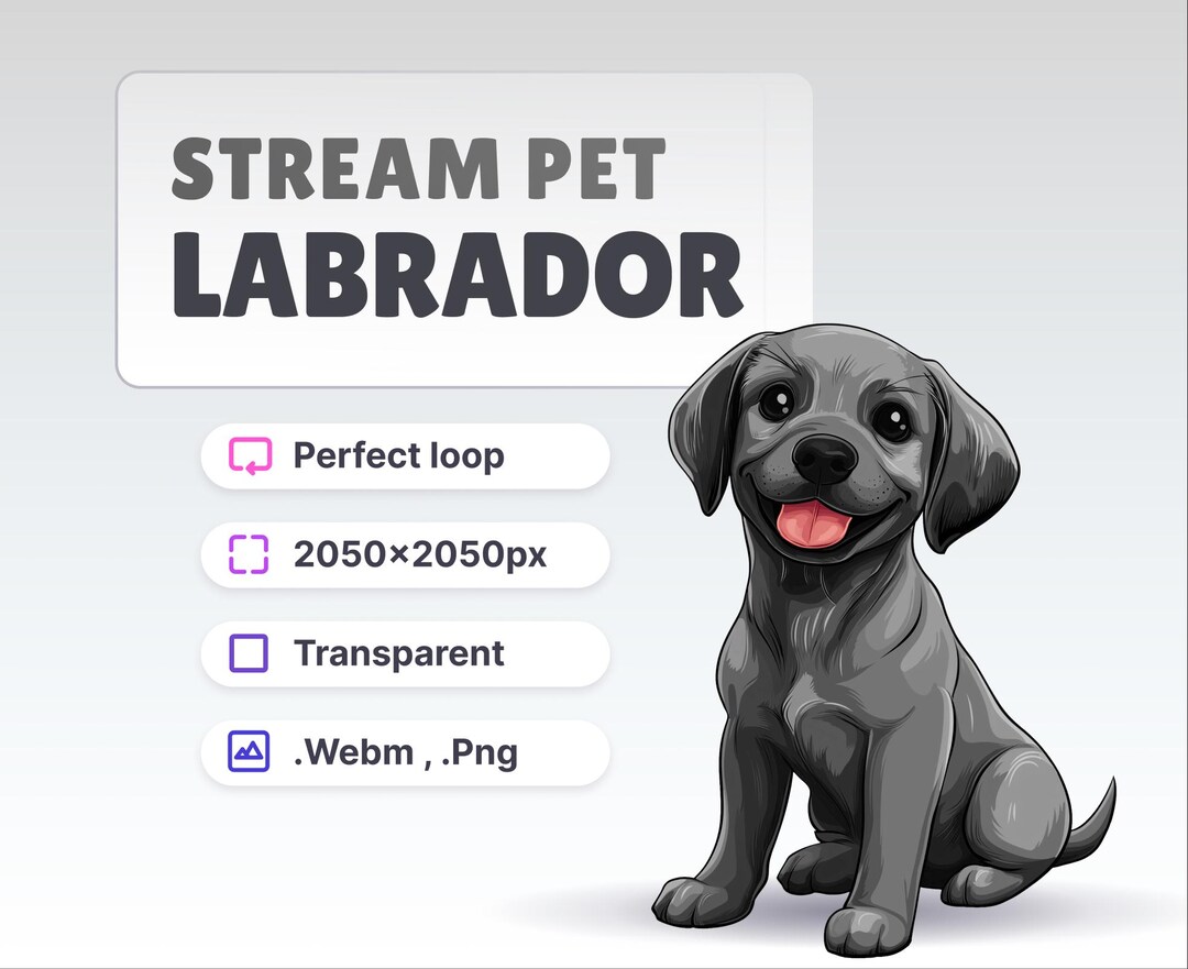 STREAM PET - Black Labrador - Animated - Perfect Loop - Hd Files ...