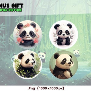 CUTE PANDA BAMBOO Stream Overlay // Full Package // Screens, Alerts ...