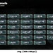 Horror House Stream Overlay Package – Animated Spooky Twitch Screens - Etsy