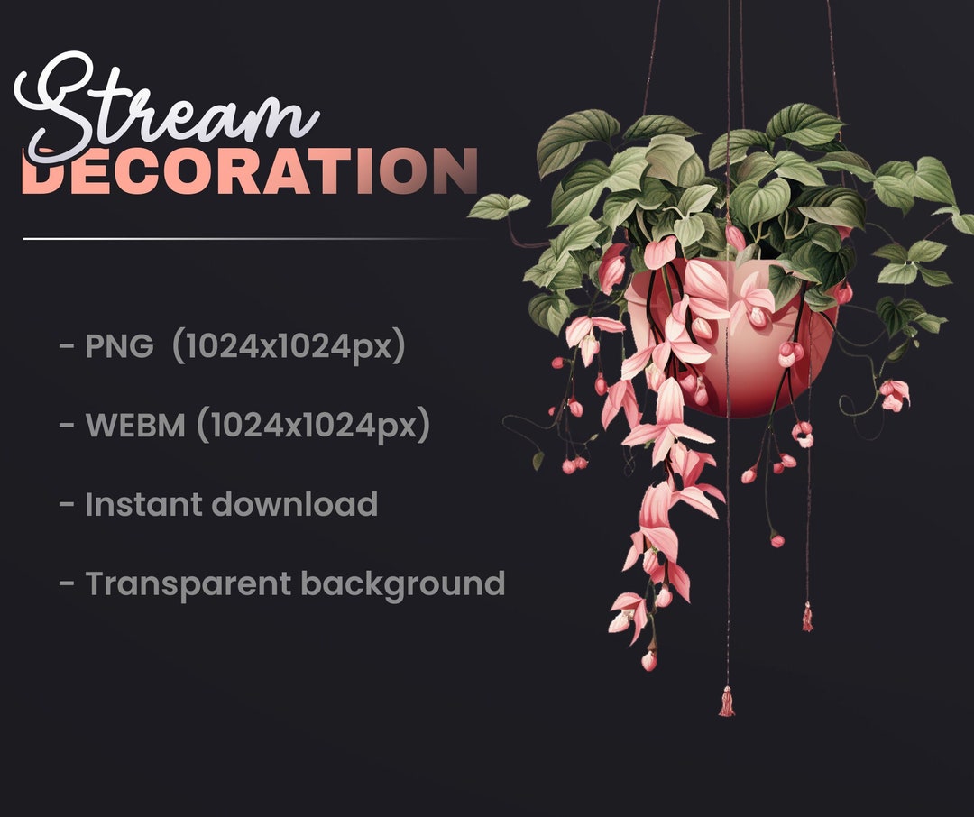 ANIMATED STREAM DECORATION Hanging Plant Pink and Green Twitch Assets ...