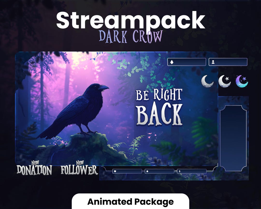 STREAMPACK - Dark Crow - 1920 X 1080 Px - Black and Purple - Overlays ...