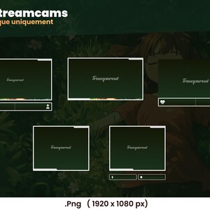 Anime Girl Stream Overlay Kit – Manga Scene, Alerts, Panels (FR) - Etsy