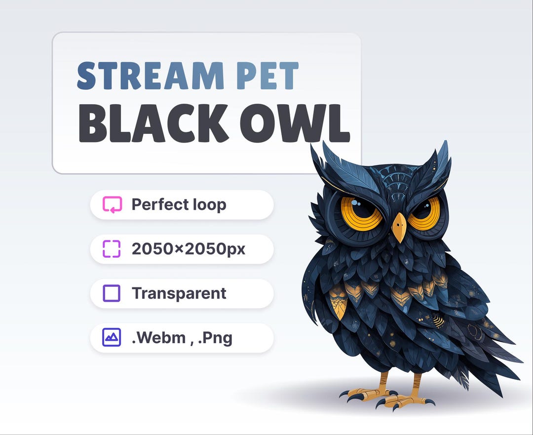 STREAM PET - Black Owl - Animated - Perfect Loop - Hd Files ...