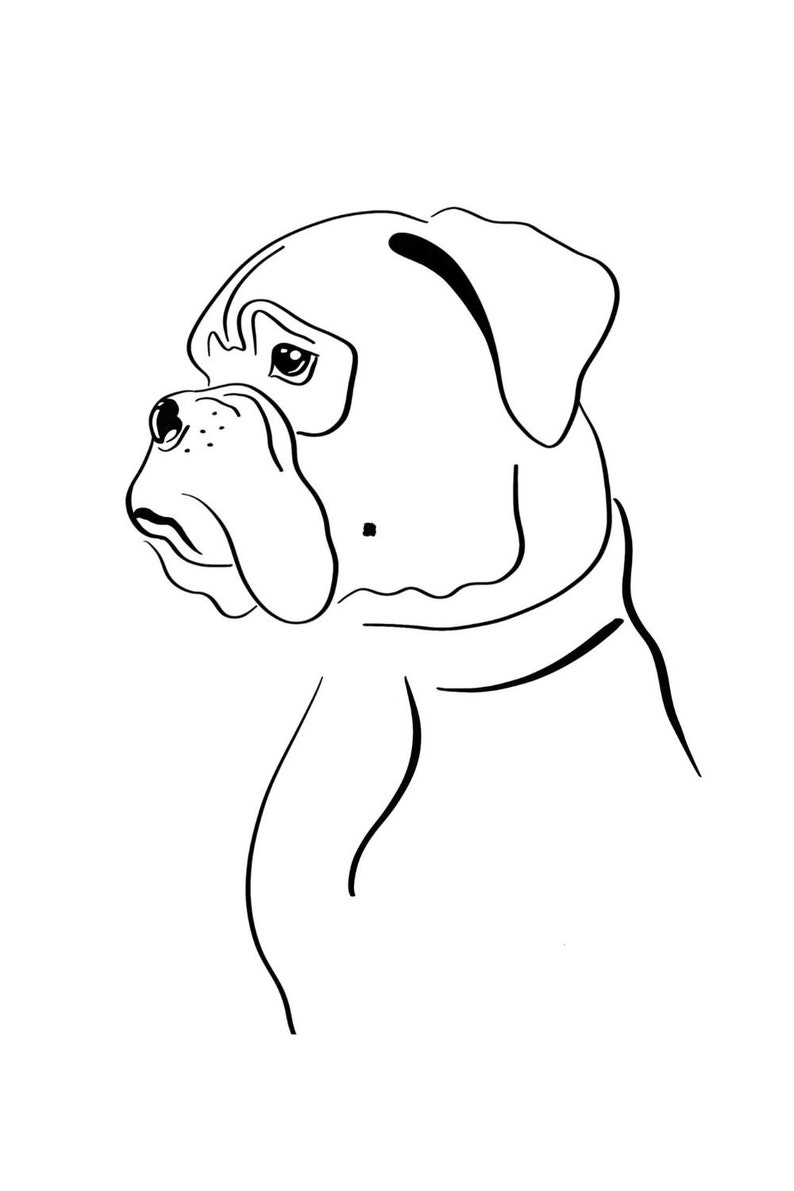 Boxer Dog Line Art Illustration Boxer Puppy Digital Printable - Etsy
