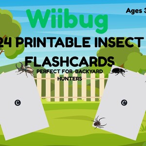 Bug Flashcards Printable | Insect Learning Cards for Kids | Homeschool ...