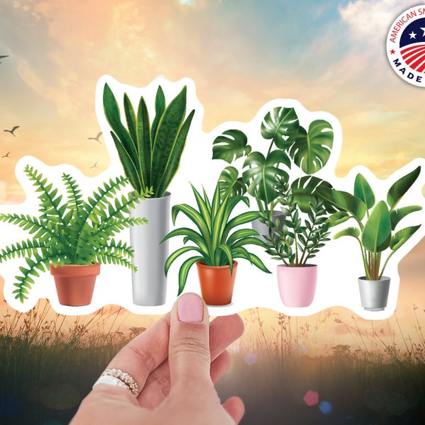 Potted Plant Window Decal - Etsy