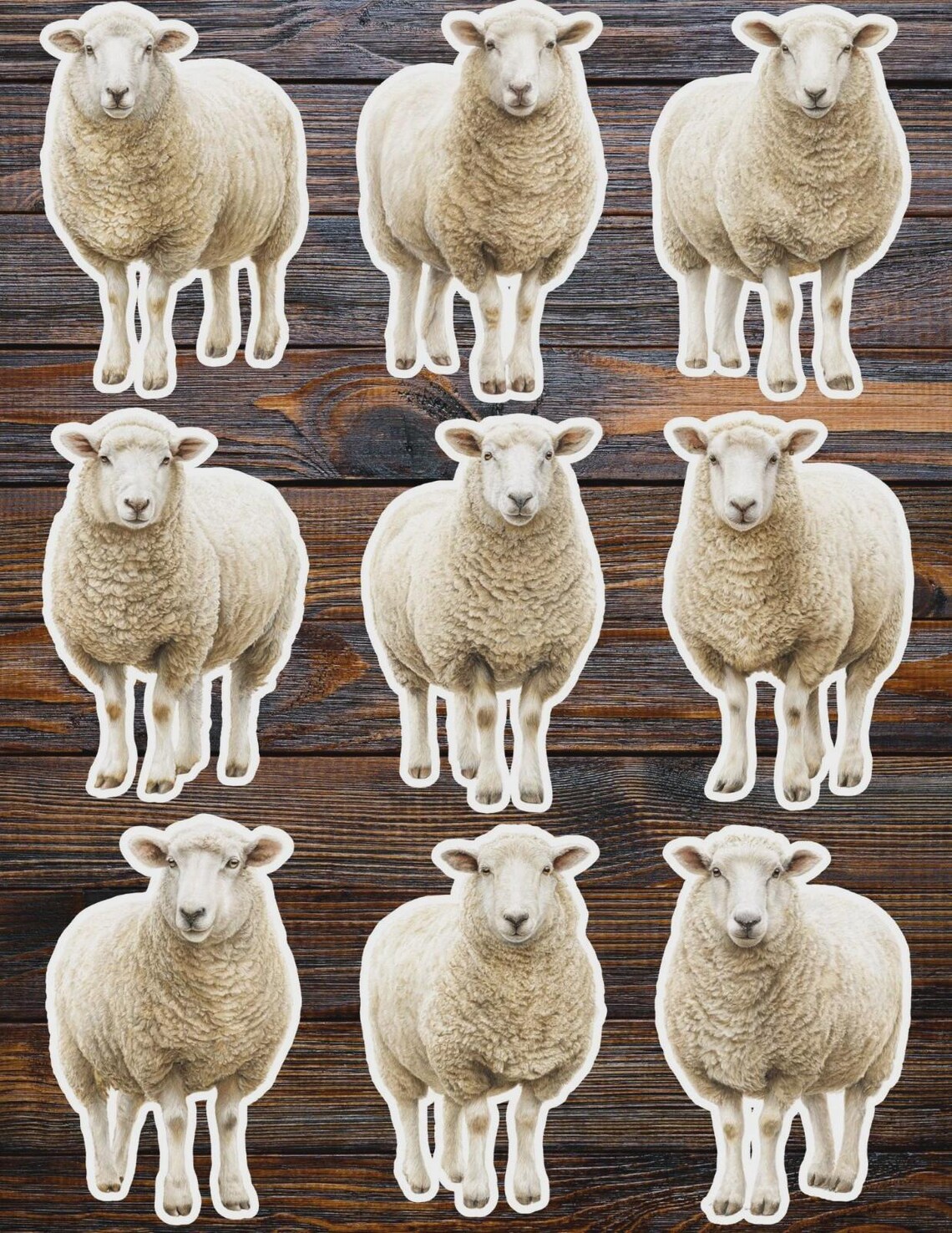 Sheep Vinyl Die Cut Sticker Set | Funny Sticker | Laptop Sticker ...
