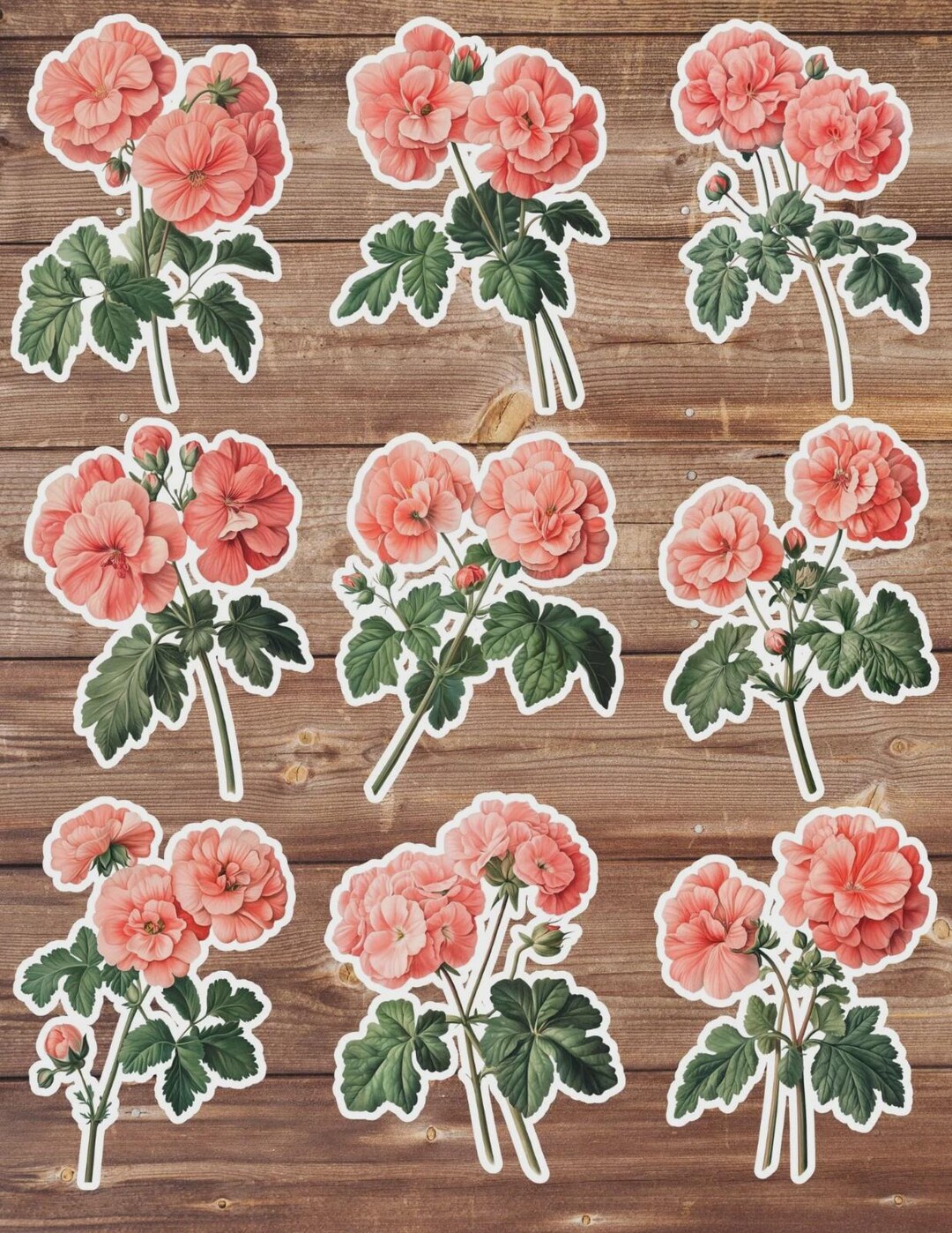 Peach Geranium Die Cut Vinyl Sticker Set – for Notebook, Laptop, Water ...
