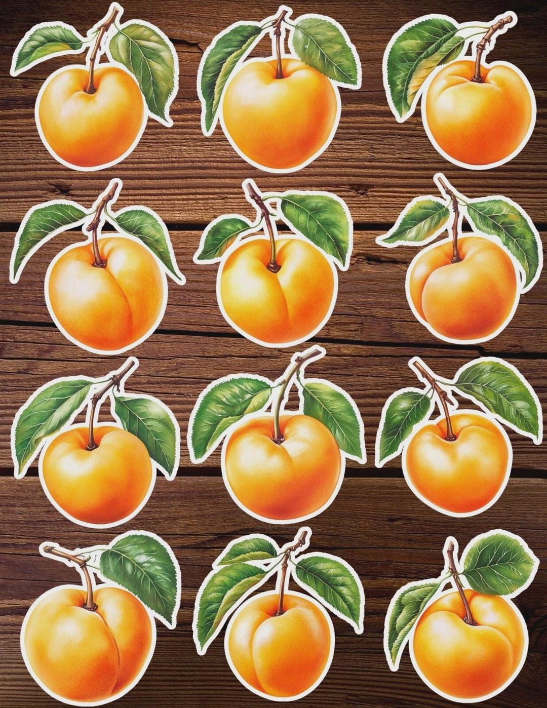 Apricot Die Cut Vinyl Sticker Set | Funny Sticker | Laptop Sticker ...