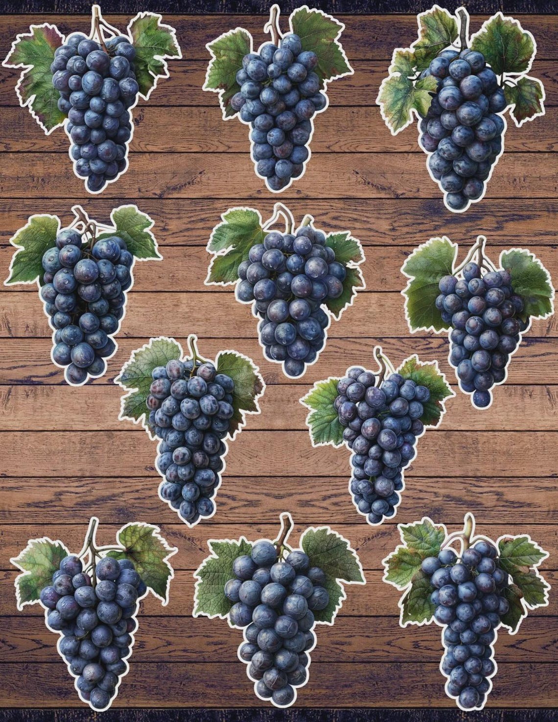Black Grapes Die Cut Sticker Set | Funny Sticker | Laptop Sticker ...