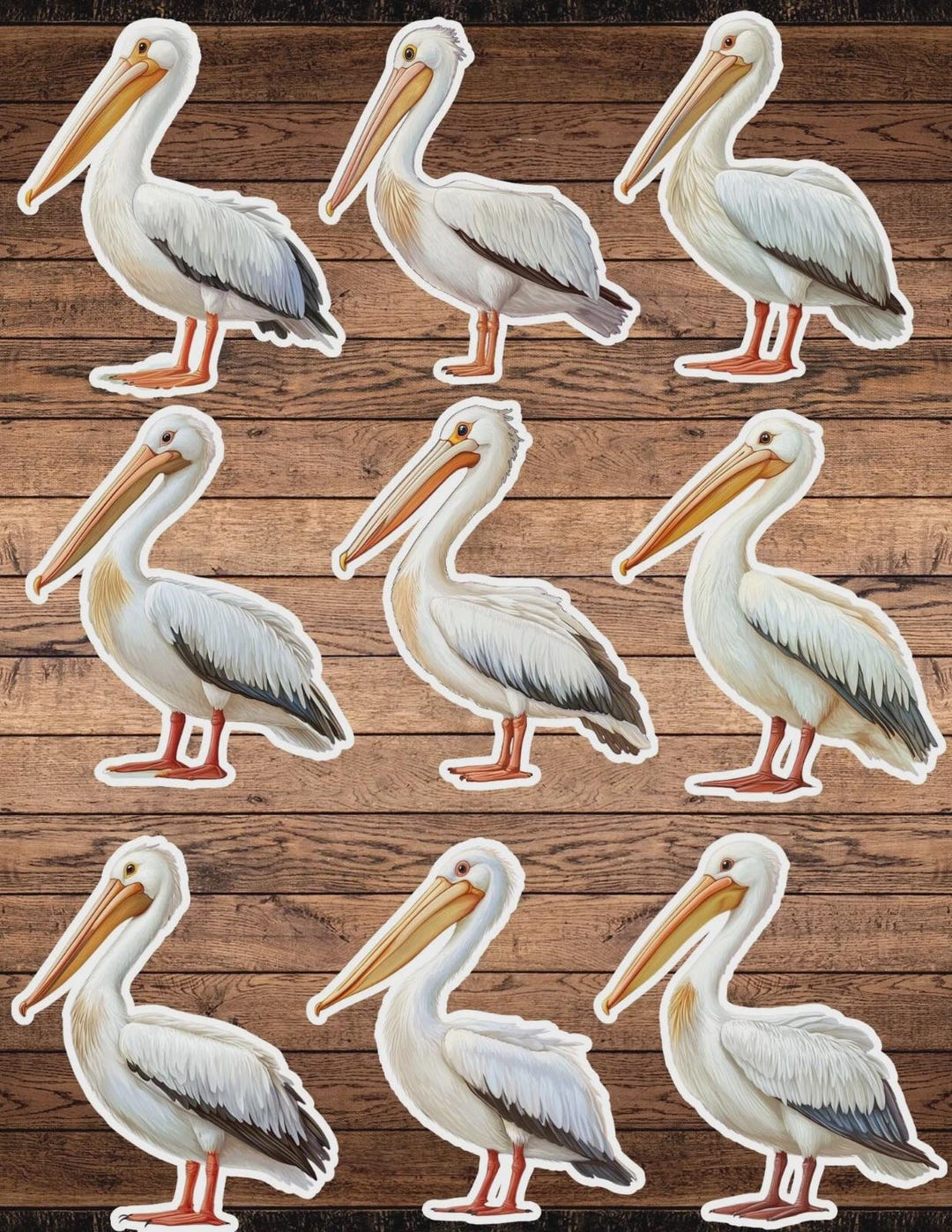 Pelican Die Cut Vinyl Sticker Set | Funny Sticker | Laptop Sticker ...