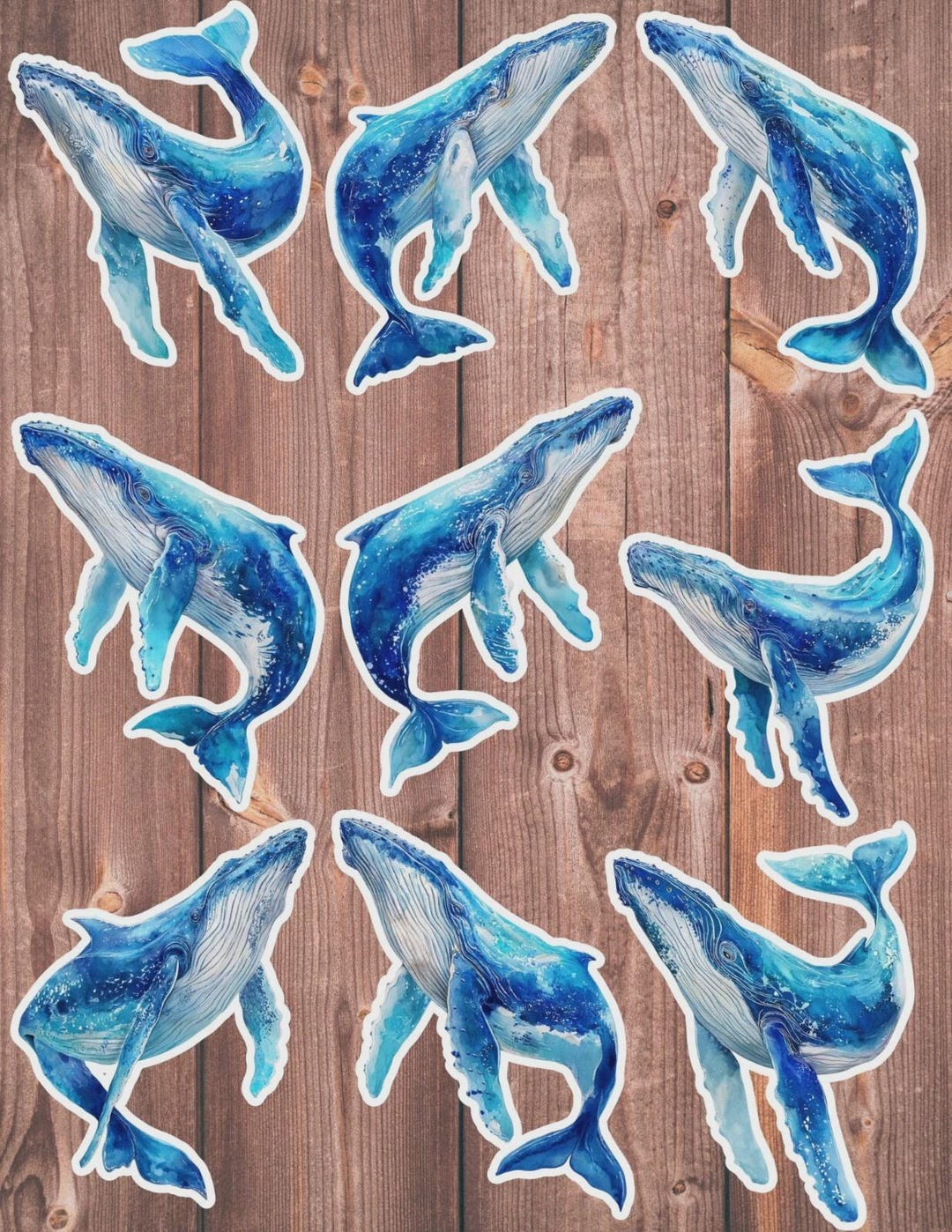 Blue Whale Die Cut Sticker Set | Funny Sticker | Laptop Sticker | Water ...