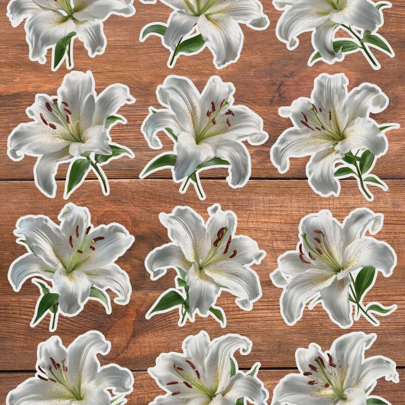 Flower Stickers Lily - Etsy