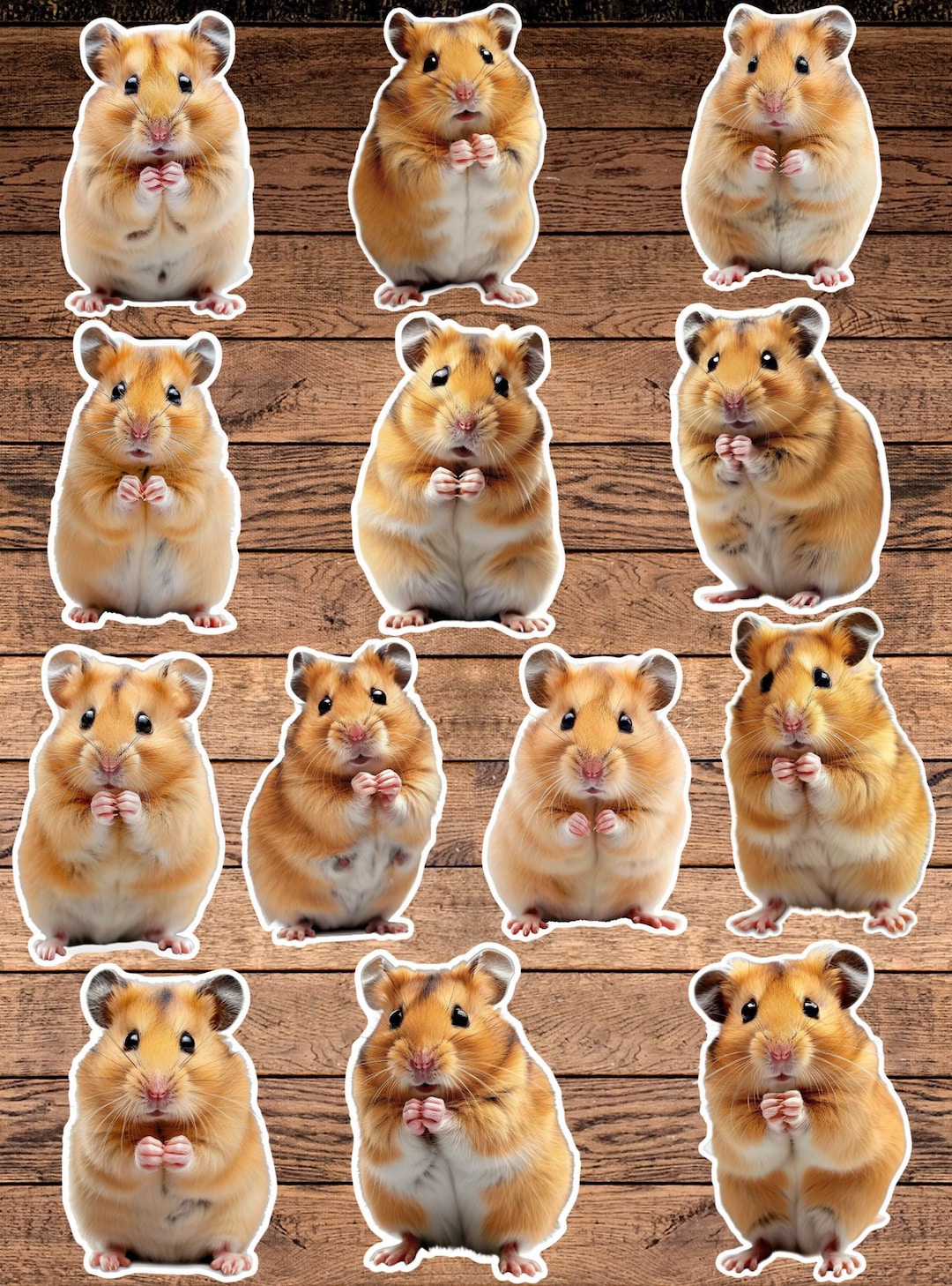 Cute Hamster Die Cut Sticker Set | Funny Sticker | Laptop Sticker ...