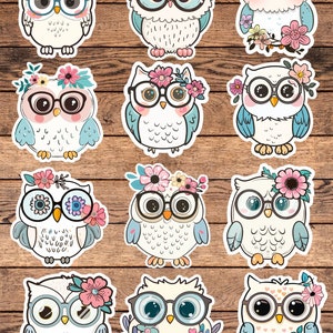 Cute Owl With Glasses Die Cut Vinyl Sticker Set – for Notebook, Laptop ...