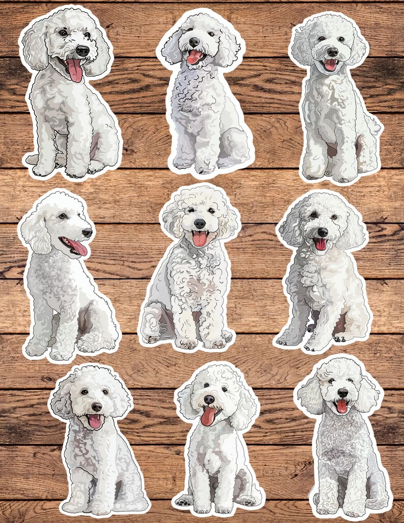 White Poodle Die Cut Sticker Set | Funny Sticker | Laptop Sticker ...