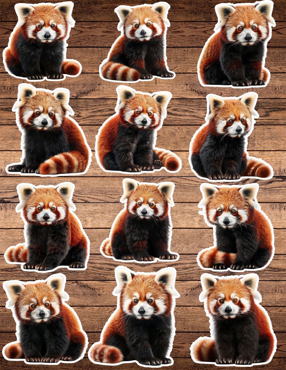 Red Panda Die Cut Vinyl Sticker Set | Funny Sticker | Laptop Sticker ...