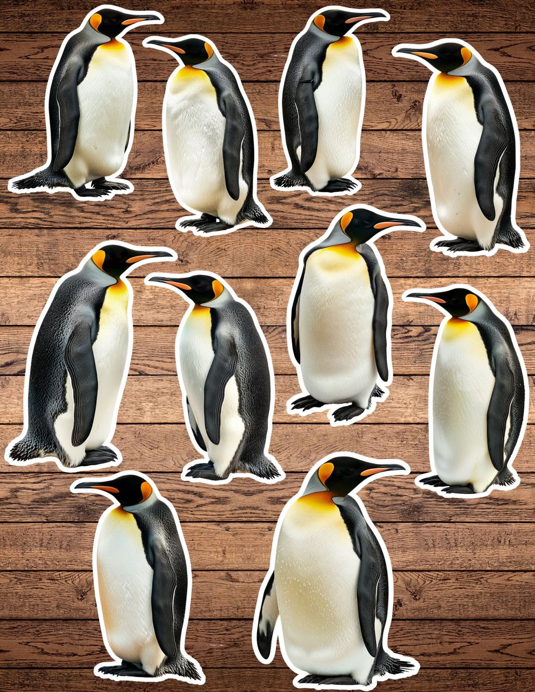 Emperor Penguin Die Cut Vinyl Sticker Set | Funny Sticker | Laptop ...