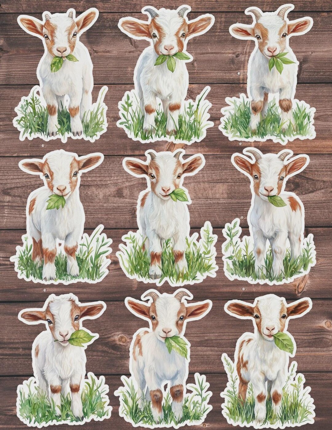 Pygmy Goat Die Cut Sticker Set | Funny Sticker | Laptop Sticker | Water ...