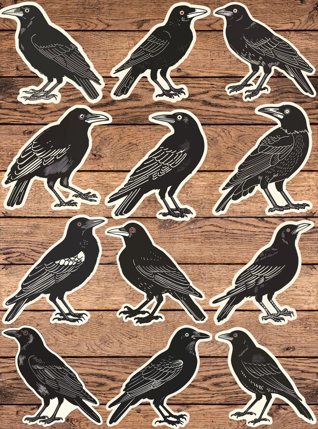 Black Bird Die Cut Sticker Set | Funny Sticker | Laptop Sticker | Water ...
